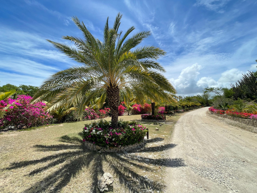 8 Things To Do In Barbuda: Complete Guide To This Remote Pink Sand Island