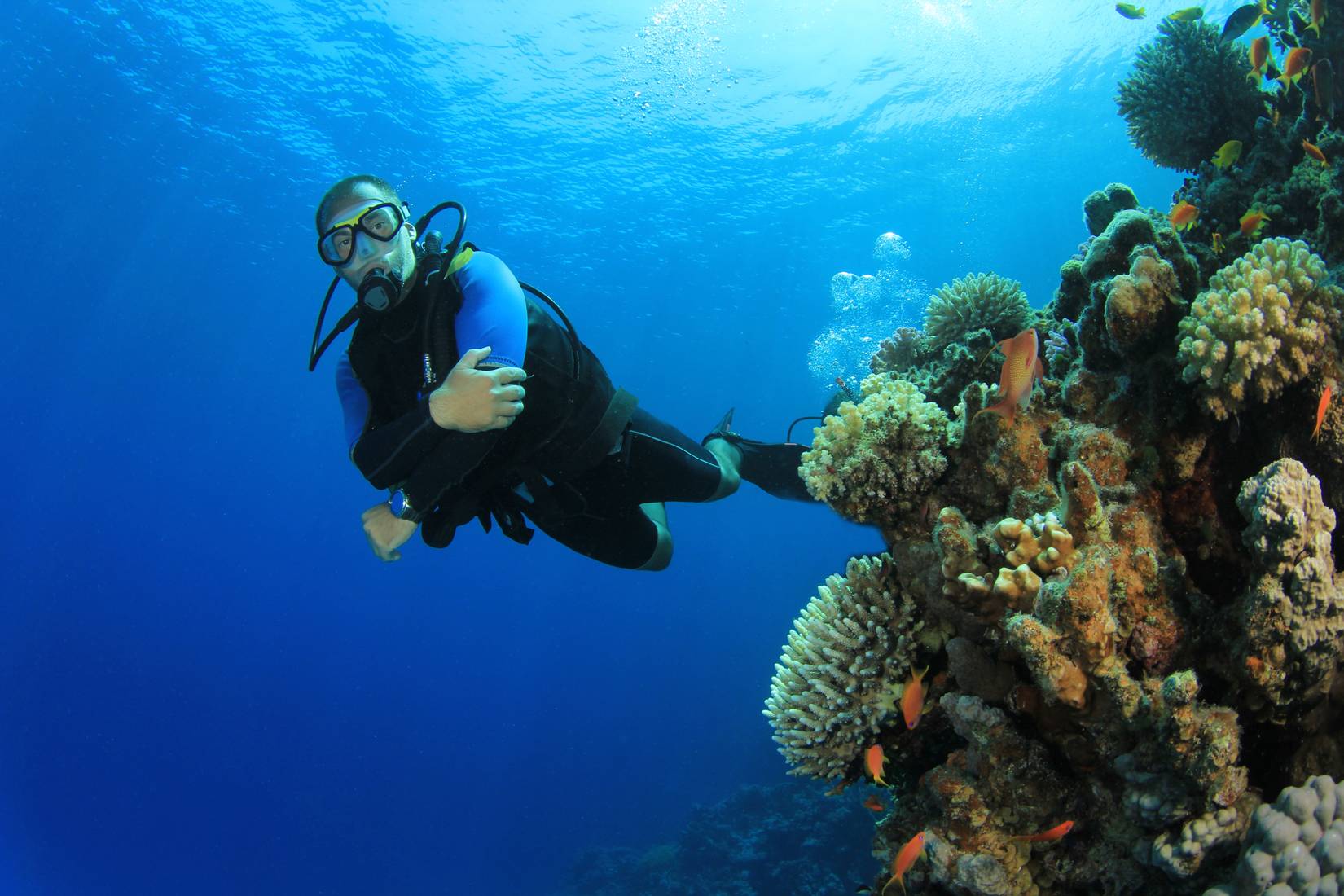 Hundreds Of Scuba Divers Perish Each Year In The US: Here's Why