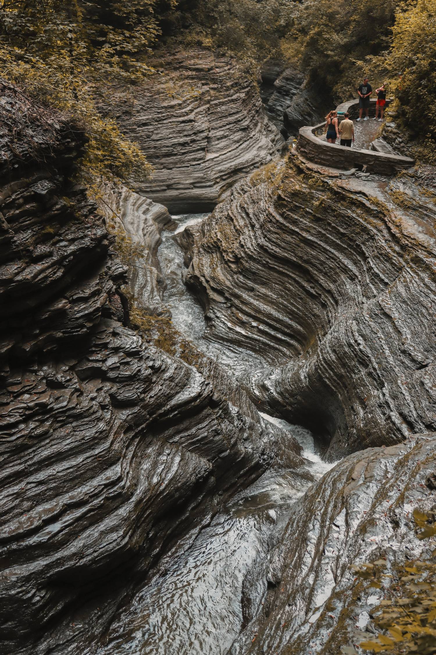 What To Know About Watkins Glen State Park