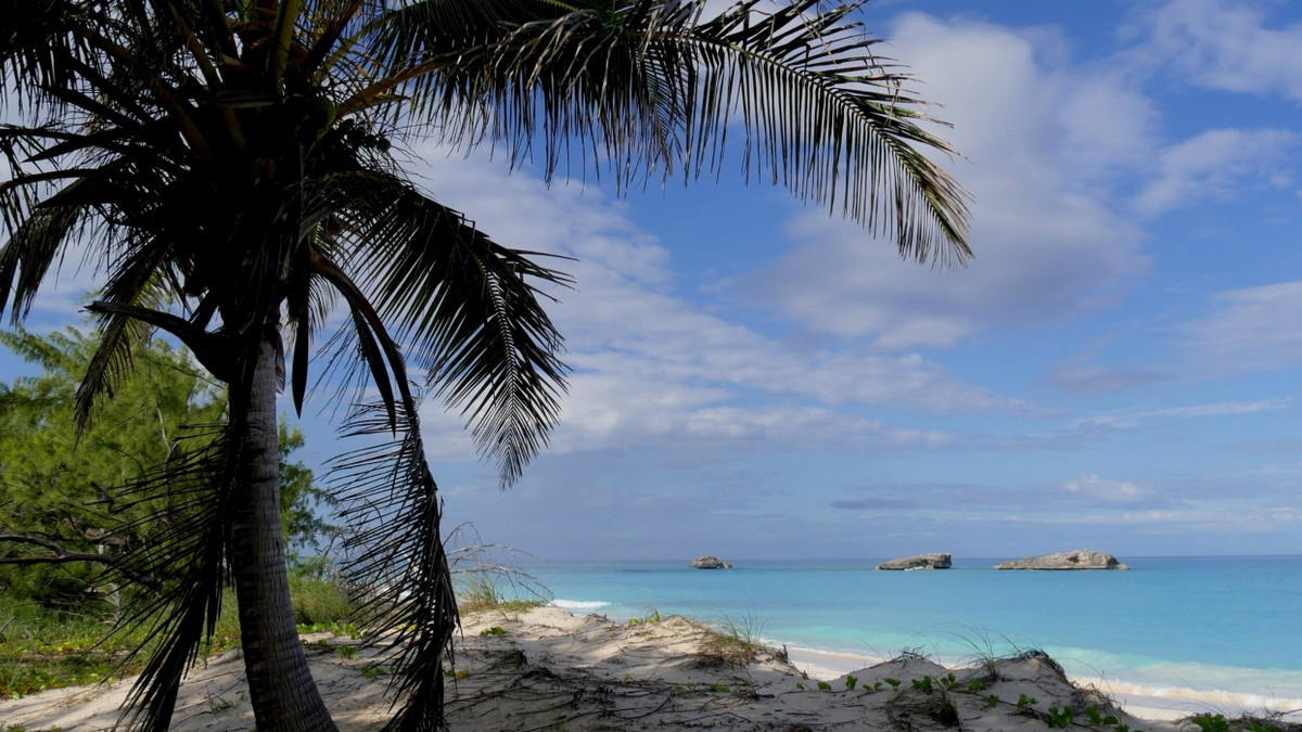 12 Things To Do In George Town: Complete Guide To Exuma's Hidden Gem