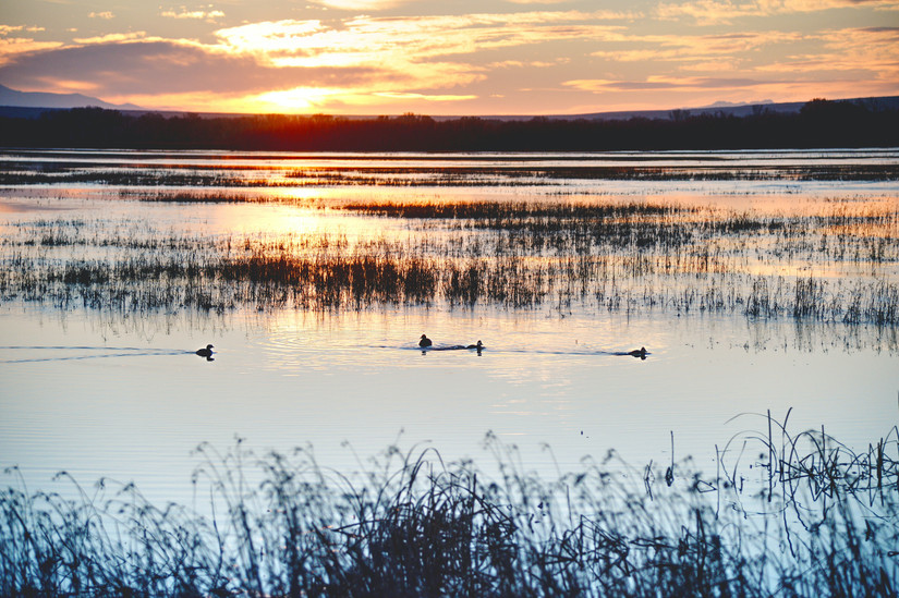 10 Best Places To Visit In New Mexico This Spring