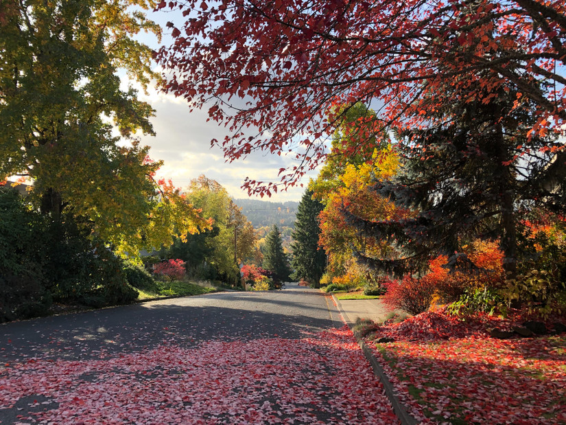 10 Amazing Things To Do In Eugene Oregon This Fall