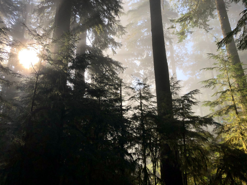 15 Things To Do In Eugene: Complete Guide To A Surprising Oregon Gem