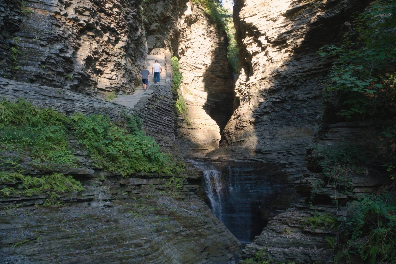 What To Know About Watkins Glen State Park