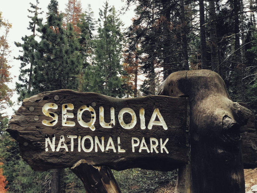 Sequoia National Park: 10 Unique Things You Can Experience In ...