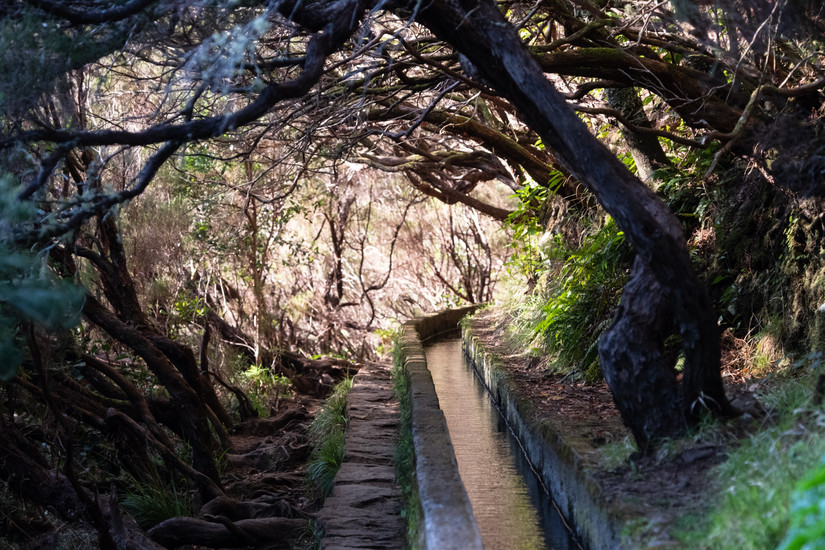 10 Of The Best Levada Walks & Scenic Hikes In Madeira
