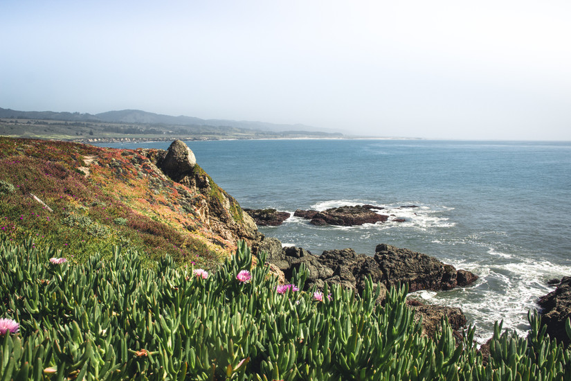 Wildflowers And Waterfalls: California's 14 Best Springtime Hikes