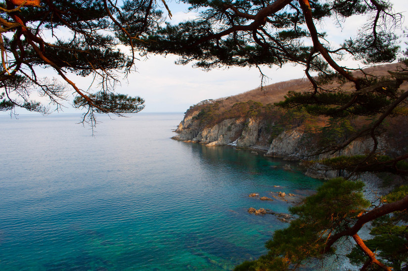 10 Largest Forests In The World (& Why You Should Visit Them)