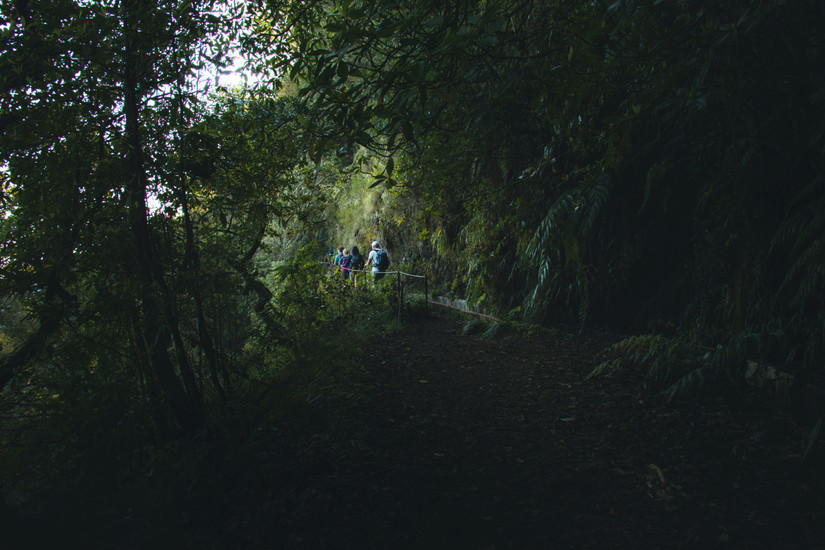 10 Of The Best Levada Walks & Scenic Hikes In Madeira