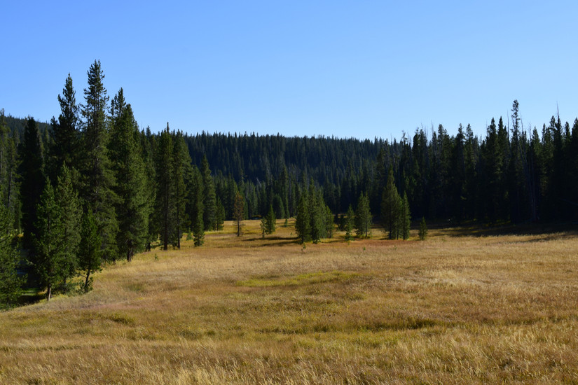 10 Of The Easiest Hikes You Can Do In Yellowstone National Park