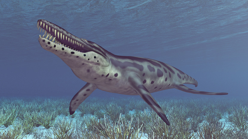 10 Of The Most Unexpected Places Where Dinosaur Fossils Have Been Found