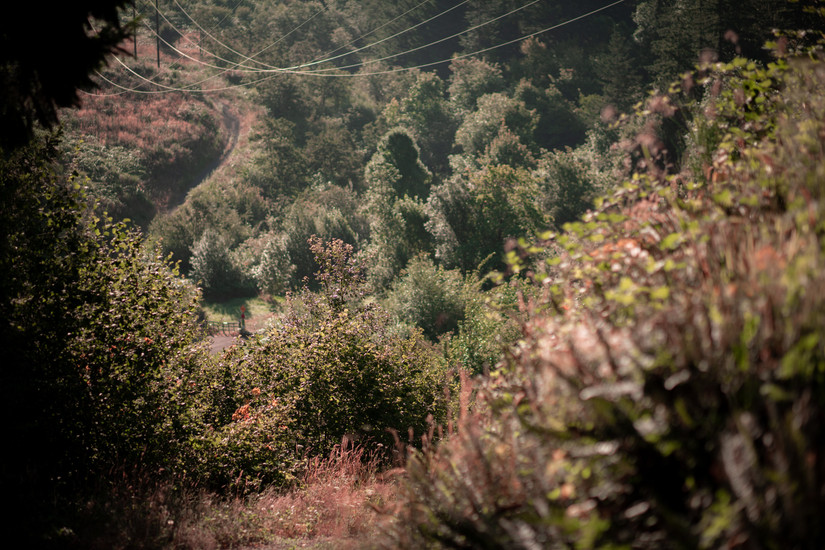 10 Amazing Things To Do In Eugene Oregon This Fall