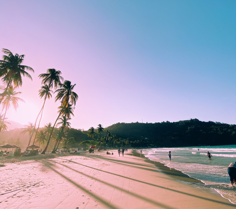 Surf's Up: The 10 Best Islands For Surfing In The Caribbean