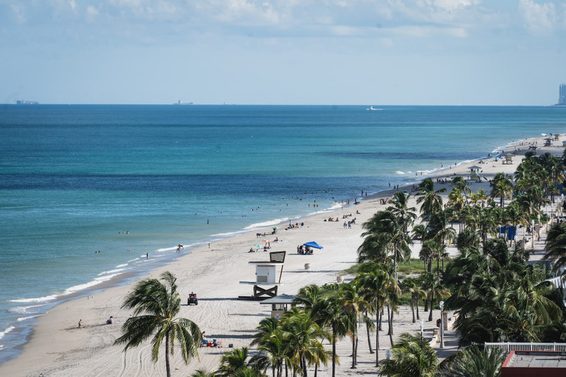 Pup-Approved: 10 Best Dog-Friendly Beaches In Florida