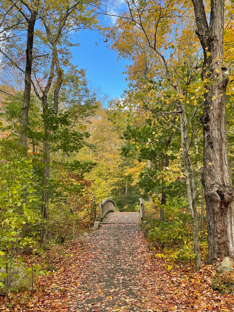 10 Most Beautiful Hikes You Can Do In Connecticut