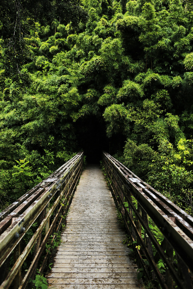 10 Best Hikes In Maui Where You Can Embark On Scenic Trails And ...