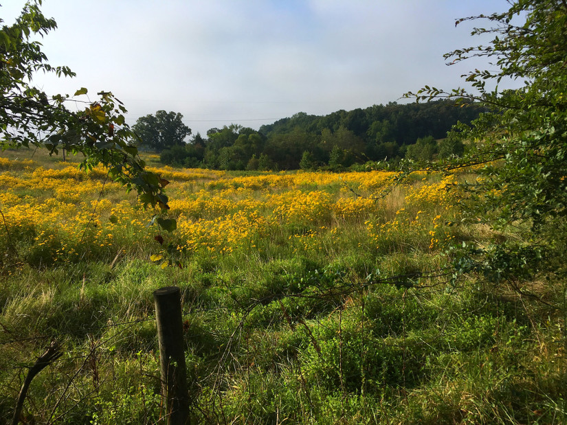 10 Beautiful Destinations To Visit In Virginia This Summer