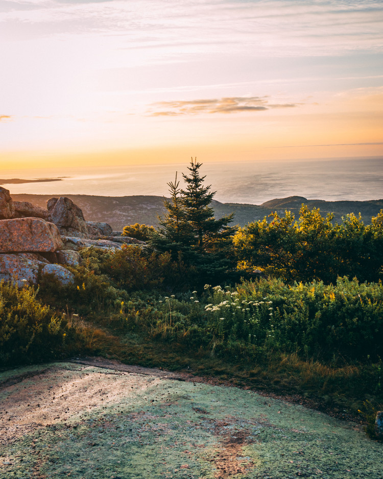 10 Things To Do In The Acadia National Park Region: Complete Guide To ...