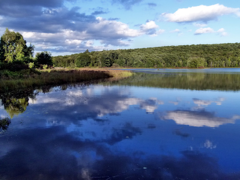 10 Best Lakeside Pennsylvania Beaches That Are Perfect For Summer