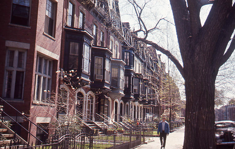 These Are The 16 Most Beautiful Streets In Boston