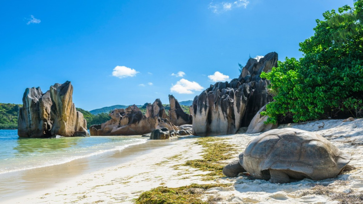 10 Beautiful Places In Seychelles You Just Have To Visit