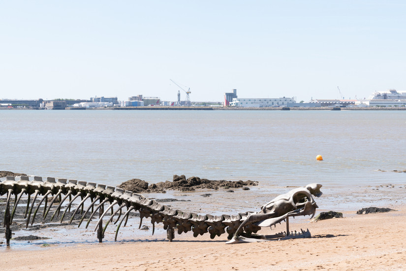 France's Serpent d'Ocean Is Its Most Attention-Grabbing Attraction