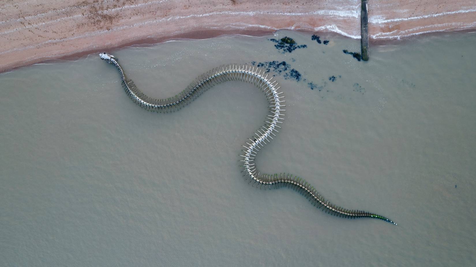 France's Serpent d'Ocean Is Its Most Attention-Grabbing Attraction