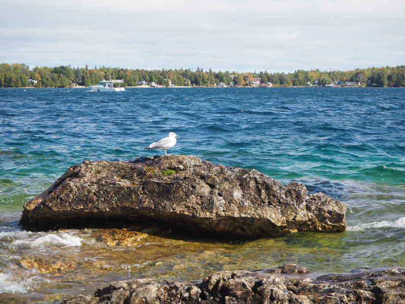 Ontario's Bluest Water: 10 Things To Do In Bruce Peninsula National Park
