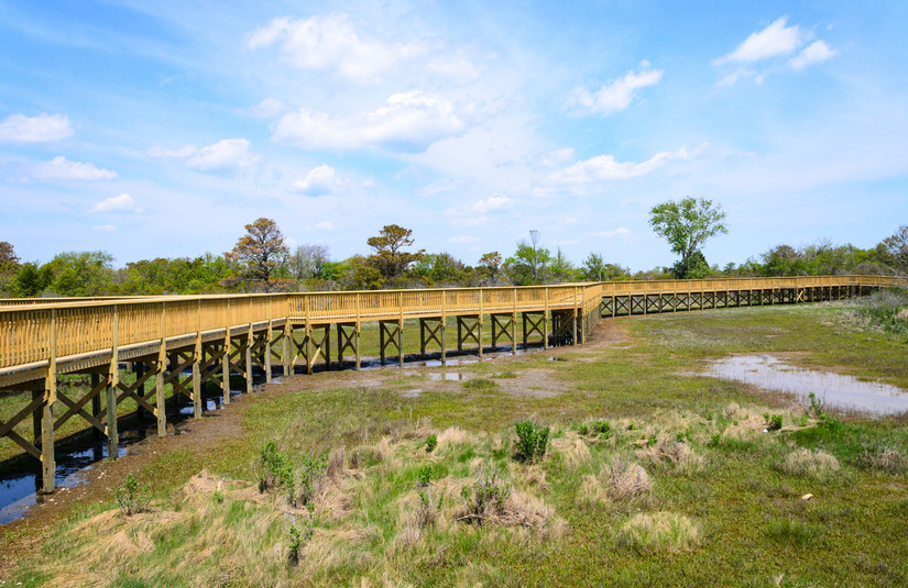 10 Beautiful Destinations To Visit In Virginia This Summer