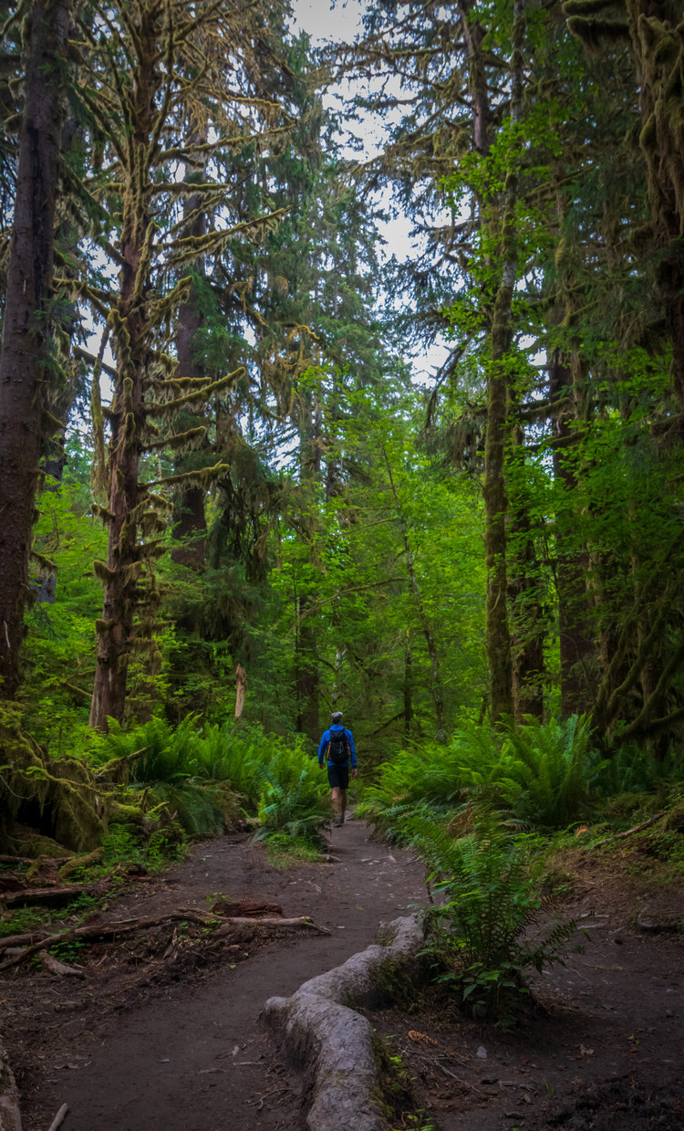 16 Twilight-Themed Things To Do In Forks, Washington