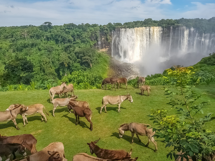 This Massive Waterfall In Africa Is One Of The Largest & Yet Almost ...