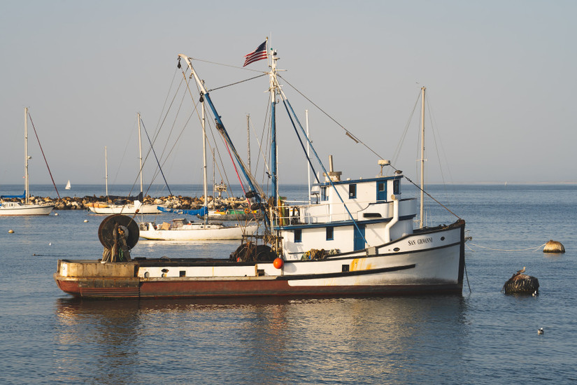 12 Things To Do In Monterey: Complete Guide To Marine Life, Tidepools ...