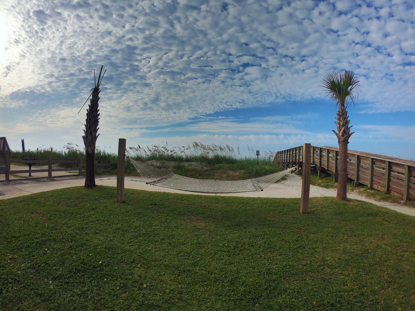 10 Shows In Myrtle Beach Where You Can Immerse Yourself In ...
