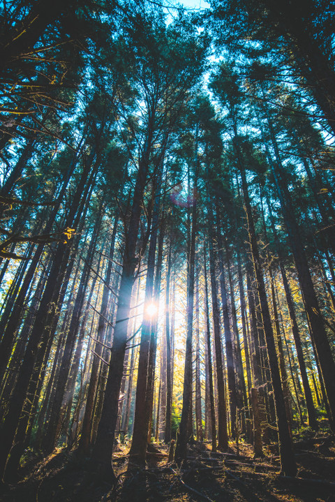 10 Amazing Things To Do In Eugene Oregon This Fall
