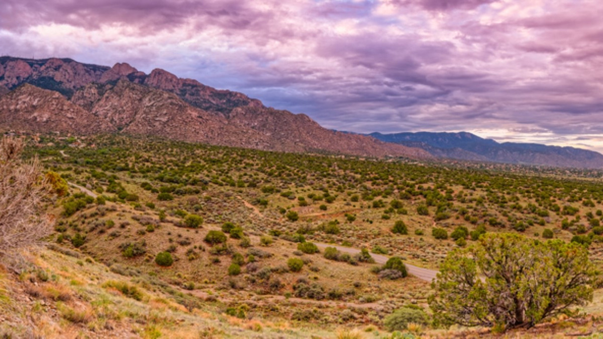 TWA 260 便墜落現場へのハイキング: 航空史を変えた悲劇的な出来事を記念して - 世界の顔