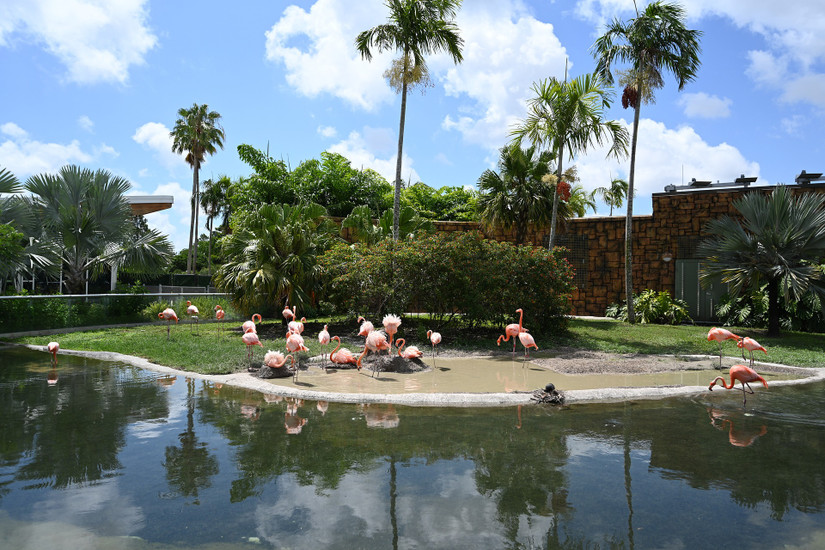 14 Incredible Things Miami, Florida, Is Known And Famous For