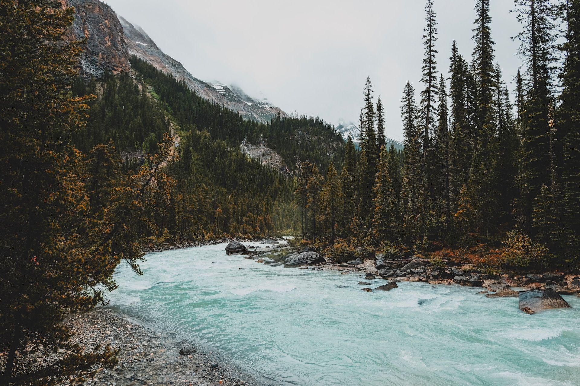 11 Things To Do In Calgary: Complete Guide To Canada's Own 'Nature's ...