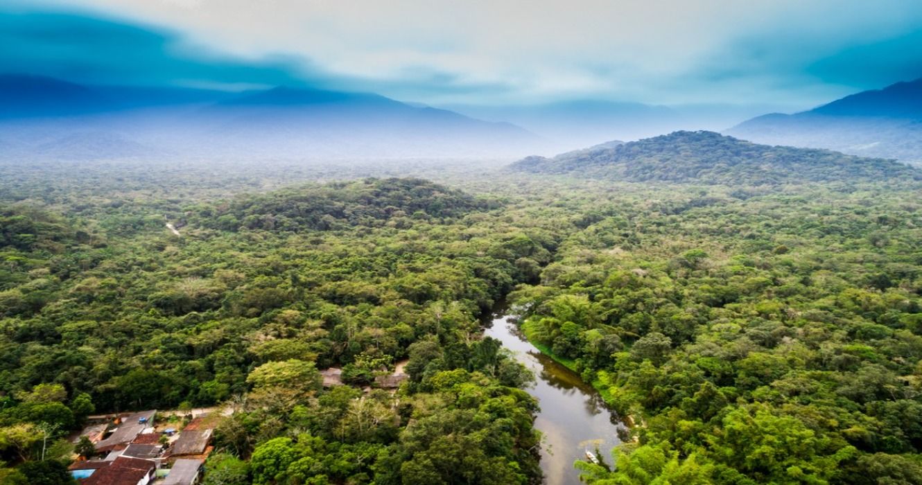 10 Incredible Rainforests Around The World Worth Visiting