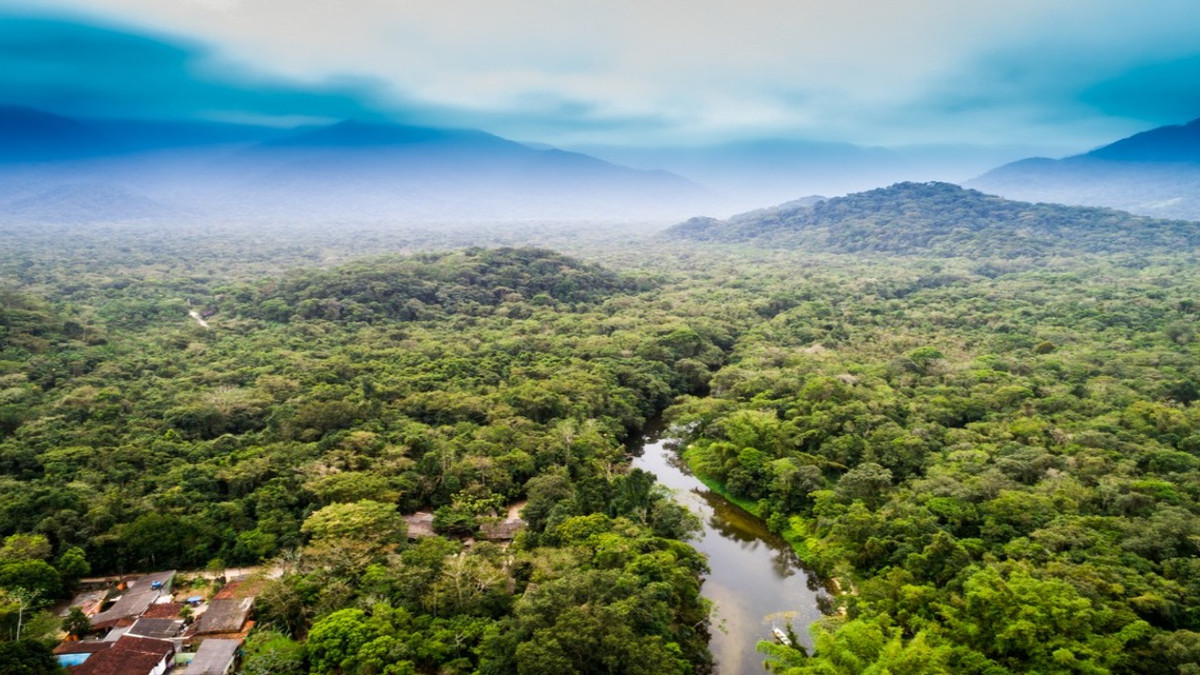 10 Incredible Rainforests Around The World Worth Visiting