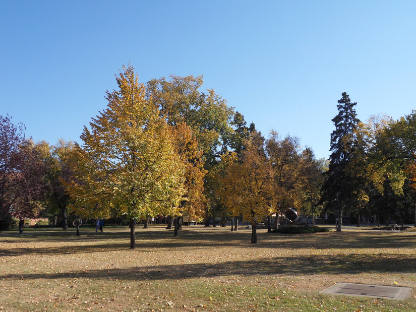 10 Things To Do In Grand Forks: Complete Guide To North Dakota's Most ...