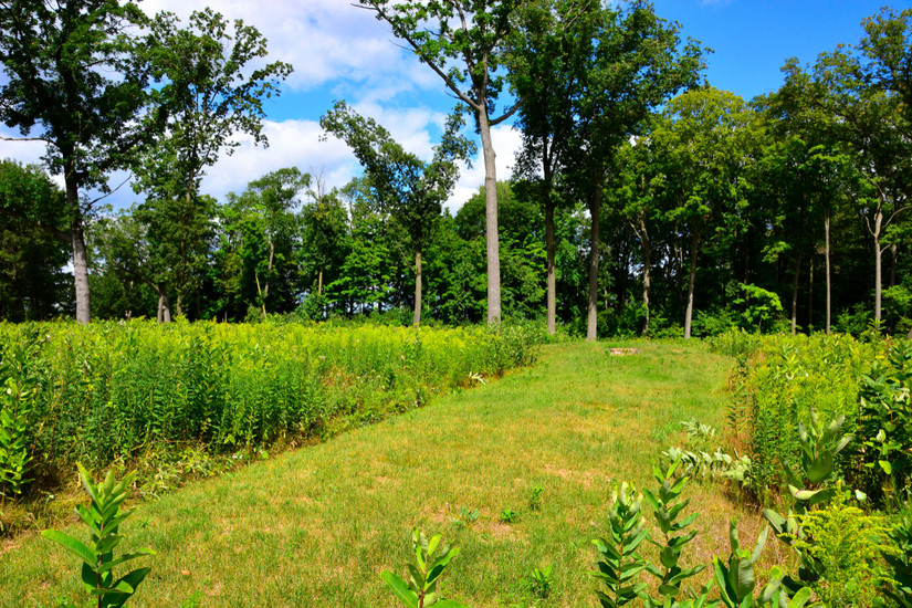 10 Things To Know About Lizard Mound, Wisconsin's Newest State Park