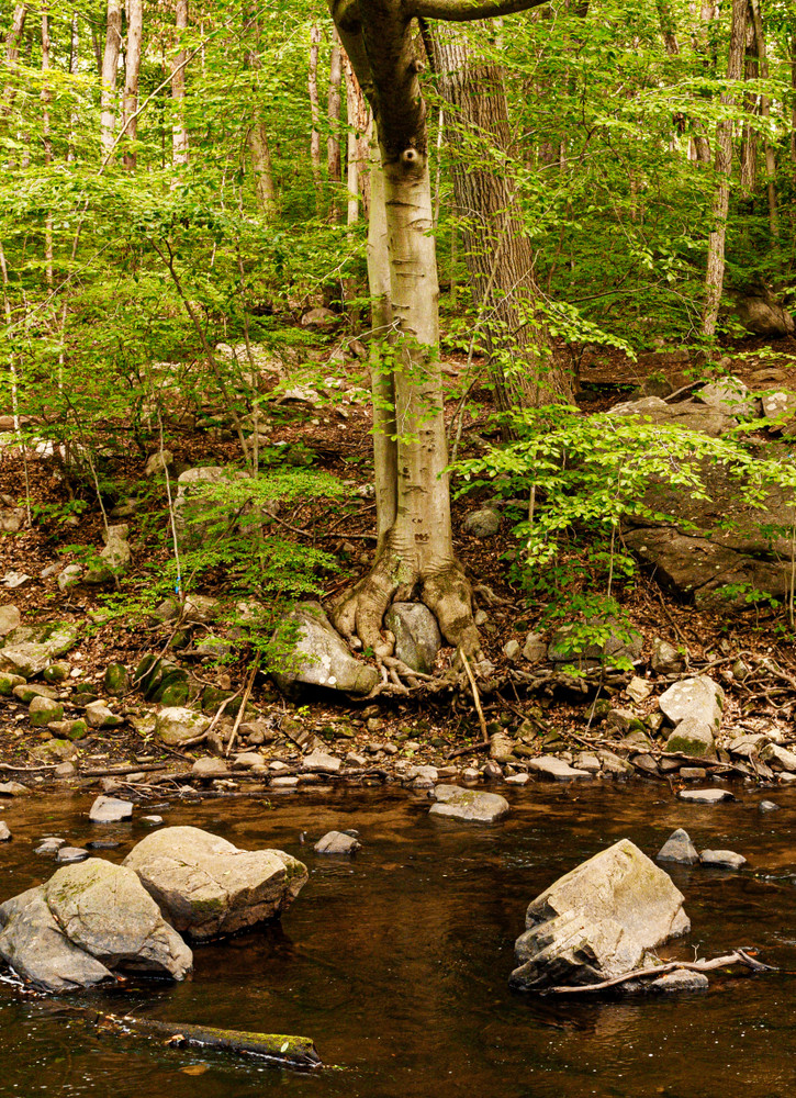 10 Most Beautiful Hikes You Can Do In Connecticut