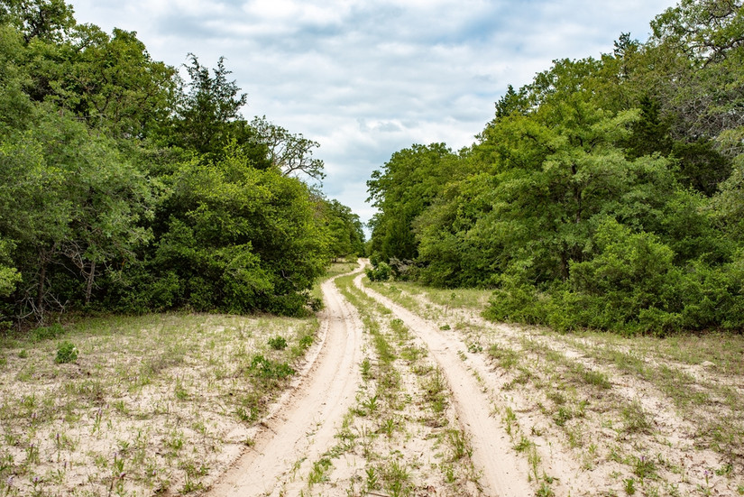 The Twisted Sisters: Why This Route Is The Most Scenic In Texas