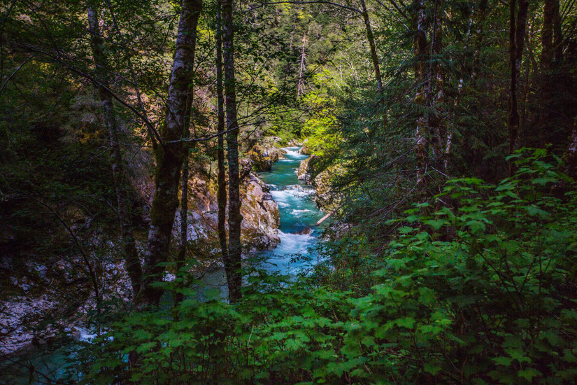 10 Best (Secret) Swimming Holes In Oregon