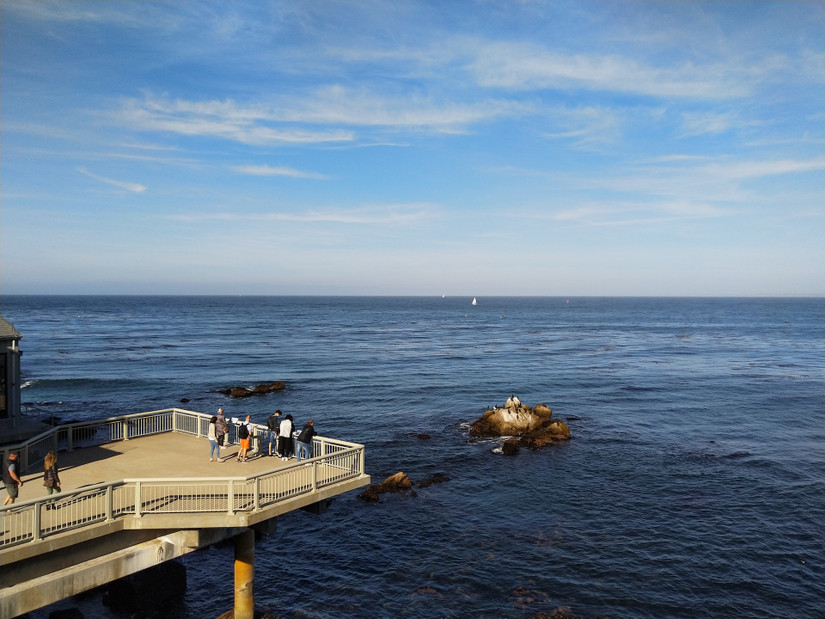 12 Things To Do In Monterey: Complete Guide To Marine Life, Tidepools ...