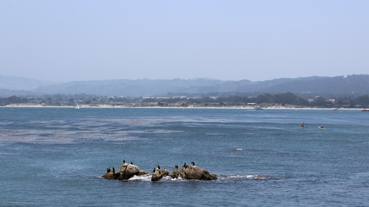 10 Scenic Eco-Friendly Tours You Can Take In Monterey
