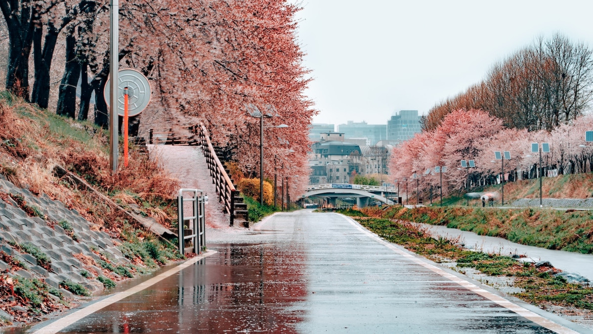 10 Unexpected Things To Do In Seoul, South Korea