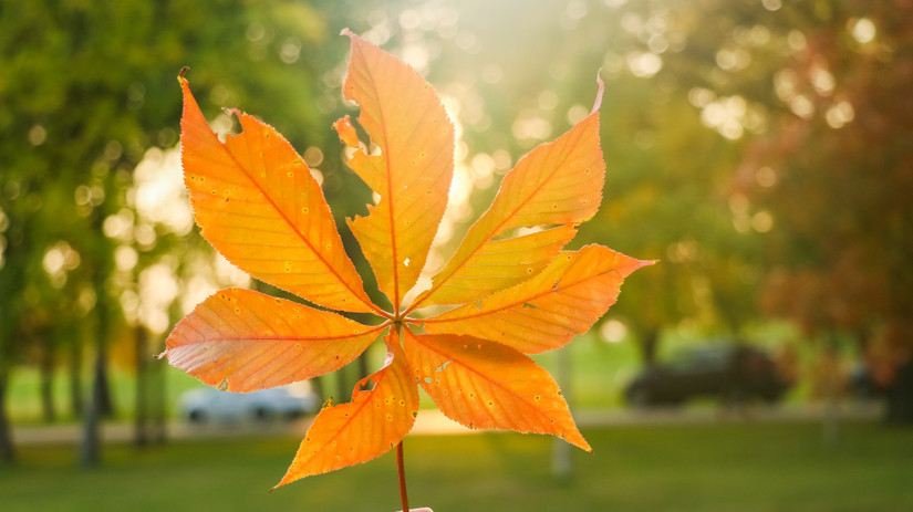 10 Most Beautiful Cities To Visit In Canada This Fall