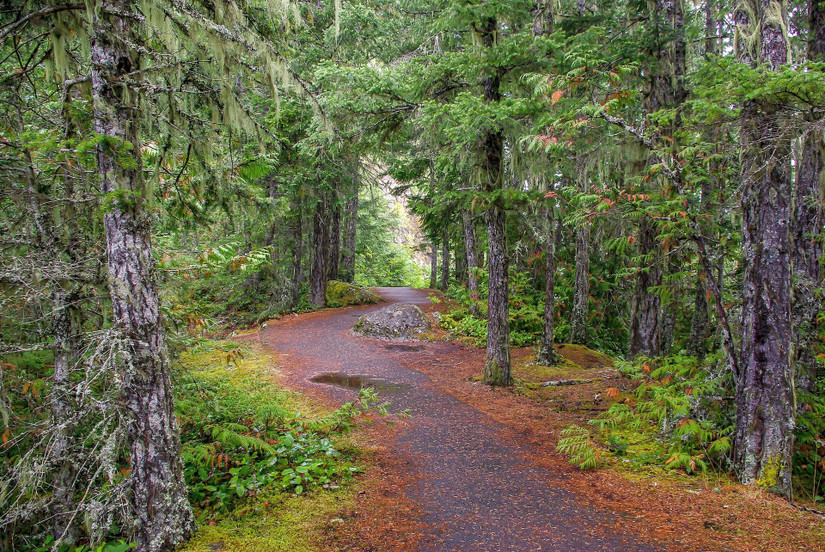 National Parks And Sustainability: A Path To Conservation And Adventure
