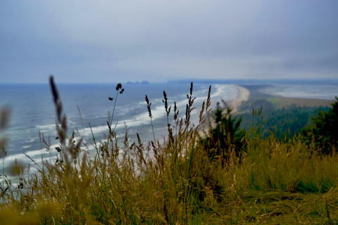 10 Hotels In Tillamook, Oregon, To Book For A Charming Fall Retreat